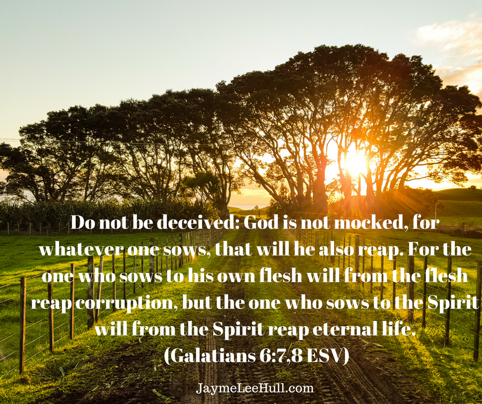 Importance of Sowing and the Benefits of Reaping - Jayme Lee Hull ...