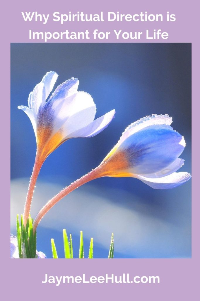 Why Spiritual Direction Is Important for Your Life - Jayme Lee Hull ...